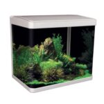 Aqua One LifeStyle 29 Gloss White – In Store Pick Up Only - Fine Pebble ...