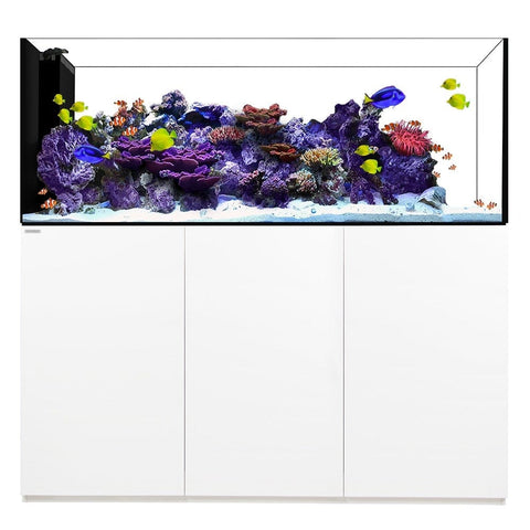 Buy Waterbox Peninsula 7225 - Cabinet White | Fine Pebble Aquarium