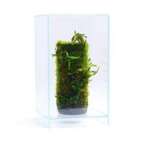 Buy DOOA TERRA BASE M | Fine Pebble Aquarium